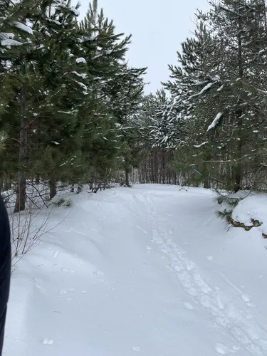 Best Forest Trails in Garson | AllTrails