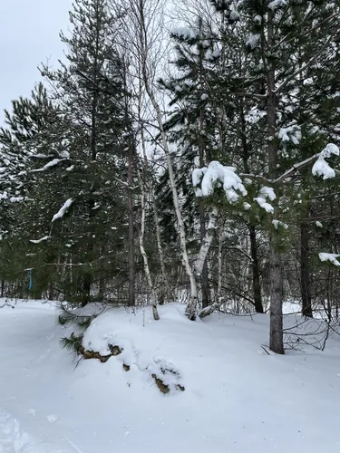 Best Forest Trails in Garson | AllTrails