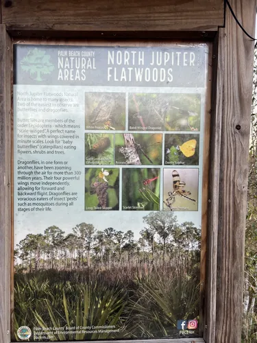 Best Hikes and Trails in North Jupiter Flatwoods Natural Area | AllTrails