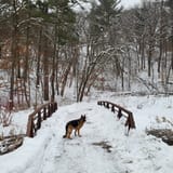 Point Douglas Trail, Minnesota - 257 Reviews, Map | AllTrails