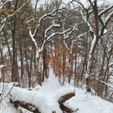 Point Douglas Trail, Minnesota - 257 Reviews, Map | AllTrails