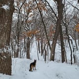 Point Douglas Trail, Minnesota - 257 Reviews, Map | AllTrails