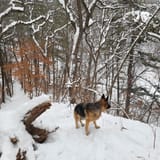 Point Douglas Trail, Minnesota - 257 Reviews, Map | AllTrails