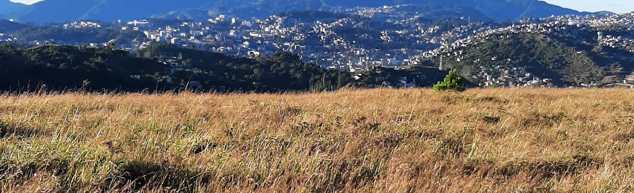 Mount Yangbew, Benguet, Philippines - 6 Reviews, Map | AllTrails