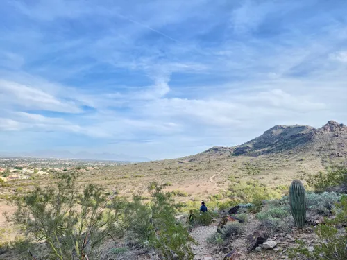 Best Hikes and Trails in Indian Bend Wash Park | AllTrails
