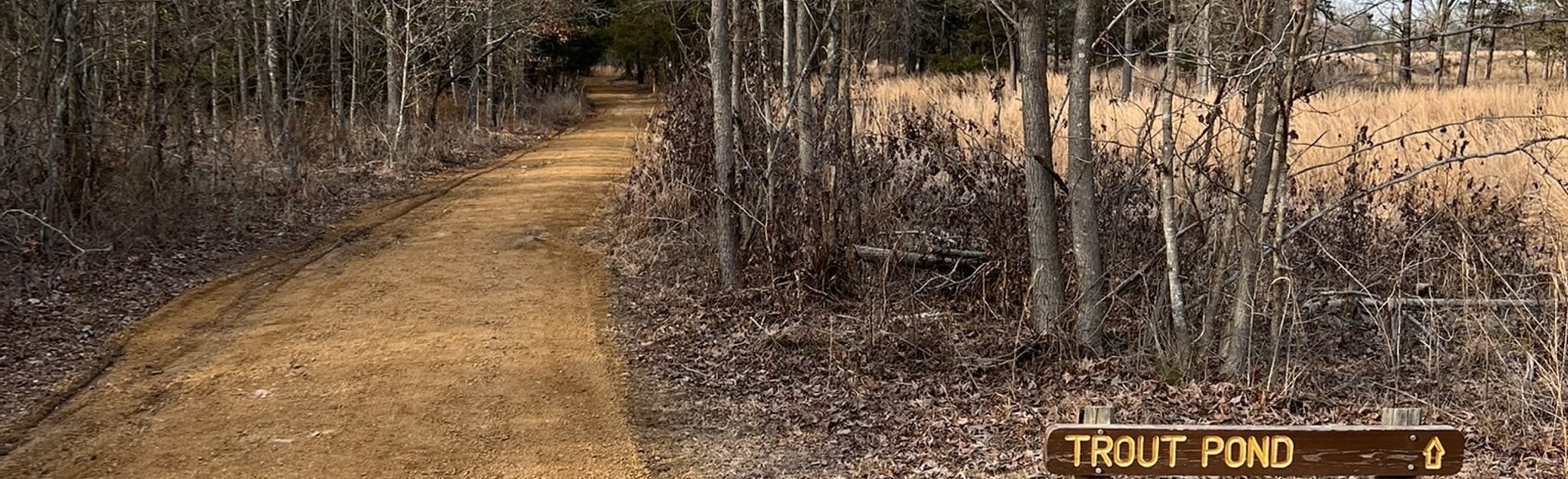 Lake Bob Homestead Trail, Texas - 23 Reviews, Map | AllTrails
