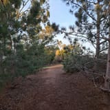 Encinitas Ranch Trail, California - 856 Reviews, Map | AllTrails