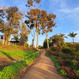 Encinitas Ranch Trail, California - 856 Reviews, Map | AllTrails