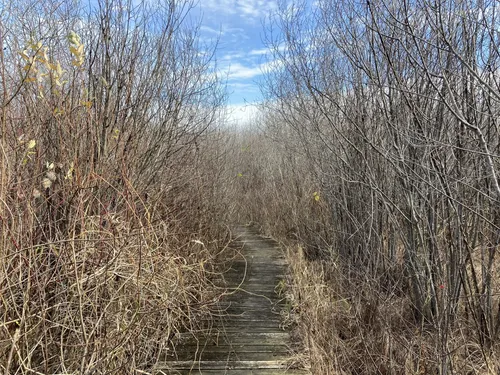 Best Hikes and Trails in Four Seasons Nature Preserve | AllTrails