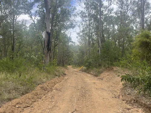 2023 Best Trails, Walks, and Paths in Jimna | AllTrails