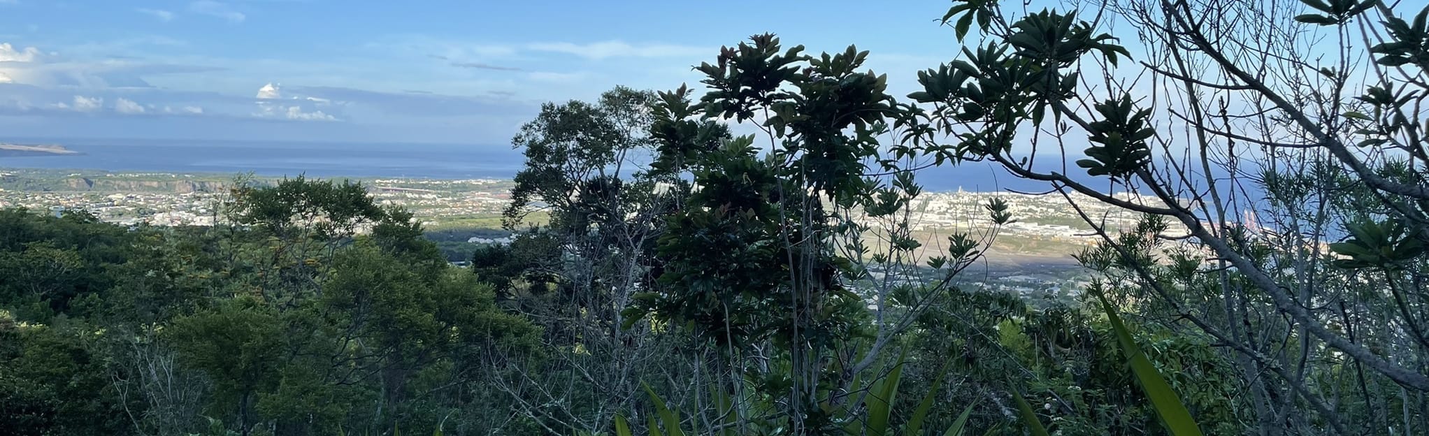 Sentier Kalla: 4 Reviews, Map - Saint-Paul, Réunion | AllTrails