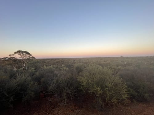 Best Hikes and Trails in Karlkurla Bushland Park | AllTrails