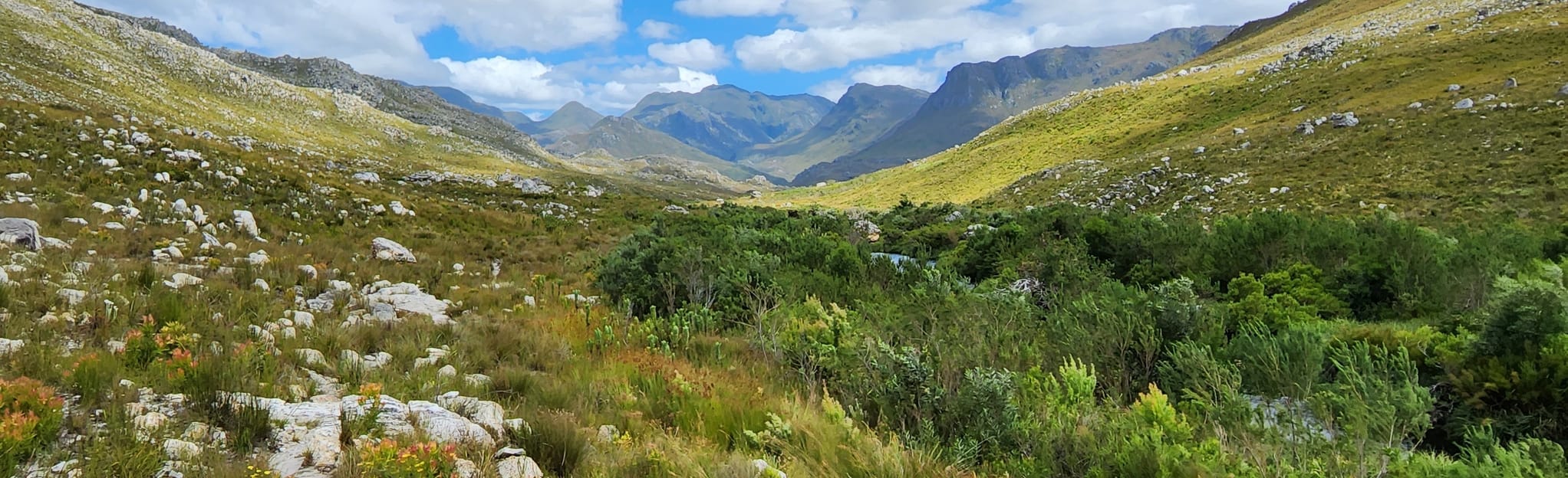 Palmiet River Trail - Stokoe's Bridge: 2 Reviews, Map - Western Cape ...