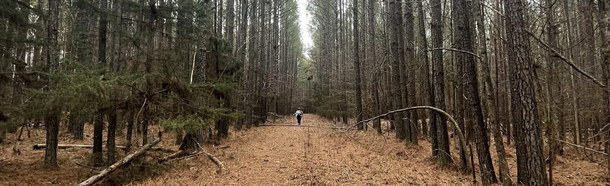 Enoree Passage: Franklin Road Trailhead to Brickhouse : 74 Reviews, Map ...