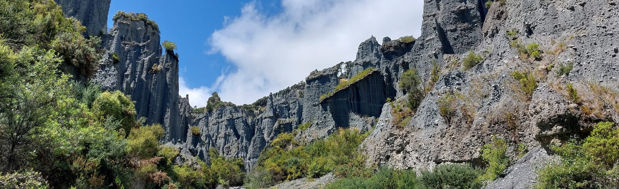 Pinnacles Track Loop [CLOSED], Wellington, New Zealand - 316 Reviews ...