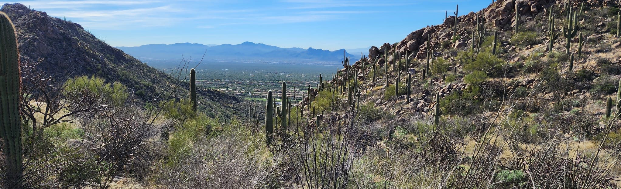 Wild Burro Loop via Tortolita Mountain Trailhead, Arizona - 403 Reviews ...