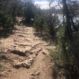 Good Water Trail from Cedar Breaks, Texas - 704 Reviews, Map | AllTrails