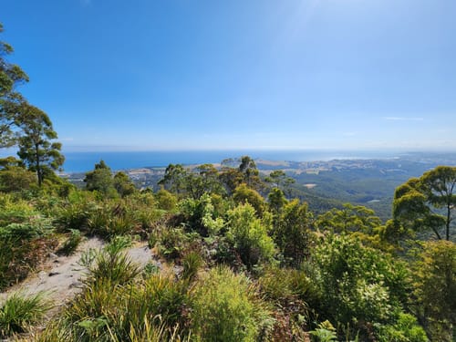 Best trails in Mount Barrow State Reserve | AllTrails