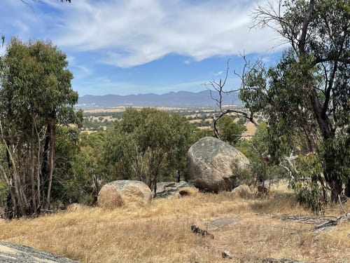 Best Hikes and Trails in Black Range Scenic Reserve | AllTrails