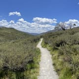 Illawong Walk, New South Wales, Australia - 330 Reviews, Map | AllTrails