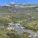 Illawong Walk, New South Wales, Australia - 330 Reviews, Map | AllTrails