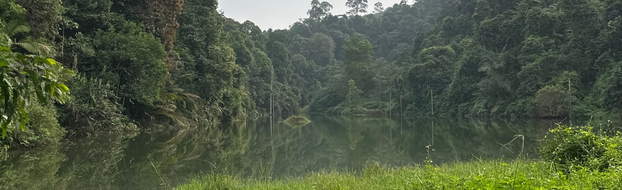 Sungai Long Hill Trail: 219 Reviews, Map - Selangor, Malaysia | AllTrails