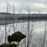 Lough Eske Nature Loop, County Donegal, Ireland - 137 Reviews, Map ...