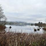 Lough Eske Nature Loop, County Donegal, Ireland - 137 Reviews, Map ...