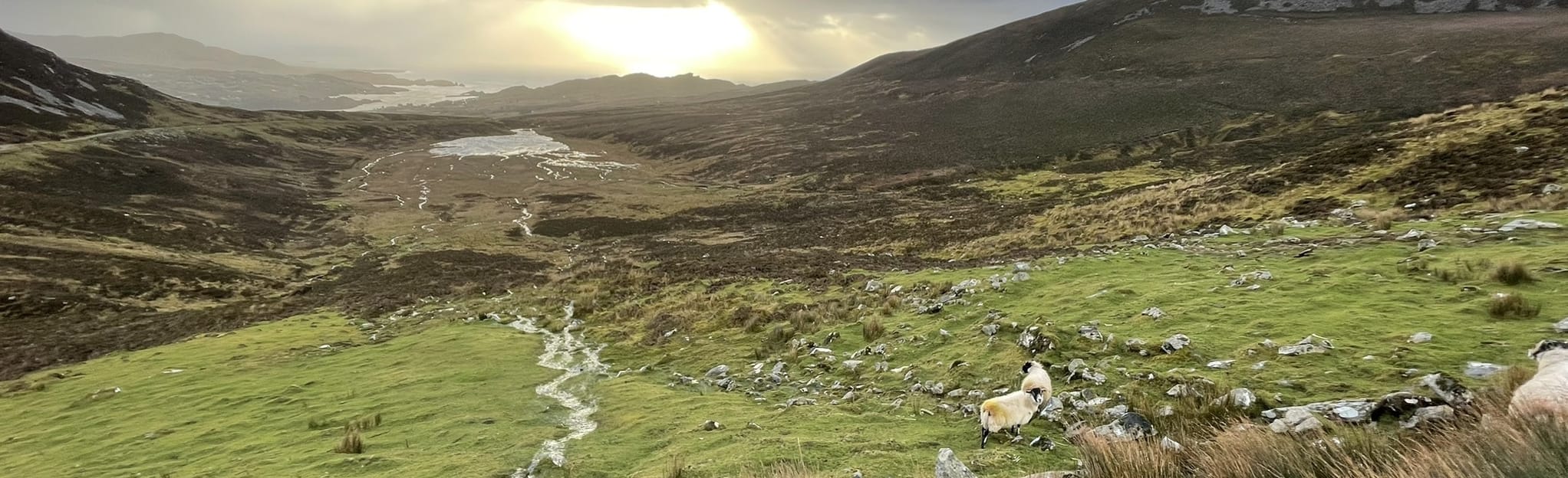 Slieve League | Sliabh Liag: 90 Reviews, Map - County Donegal, Ireland ...