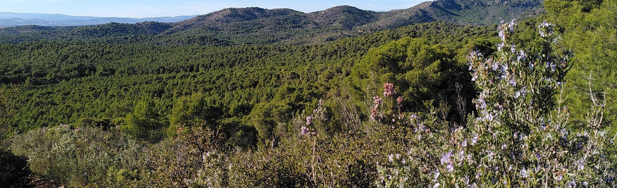 El Reixo - Puntal del Ferrer: 1 foto - Valencia, Spain | AllTrails