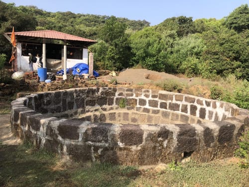 2023 Best 10 Wild Flowers Trails in Khed | AllTrails