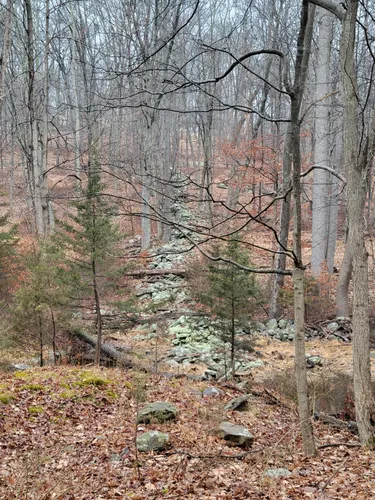 Best Hikes and Trails in Maple Hill Preserve | AllTrails