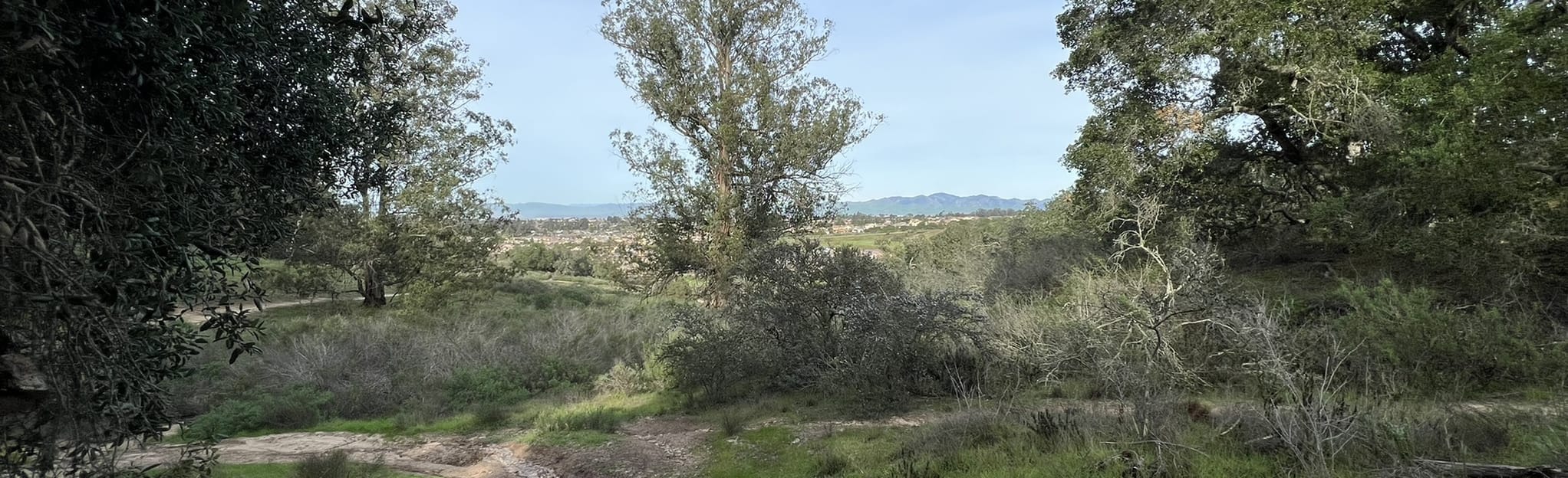 Orcutt Hills Coyote Loop: 116 Reviews, Map - California | AllTrails