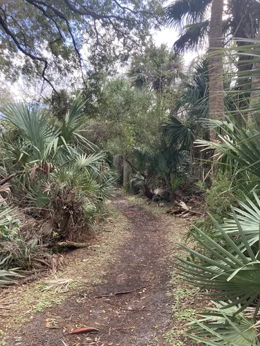 Best Hikes and Trails in Gamble Rogers Memorial State Recreation Area ...