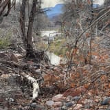 Parsons Trail, Arizona - 646 Reviews, Map | AllTrails