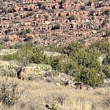 Parsons Trail, Arizona - 646 Reviews, Map | AllTrails