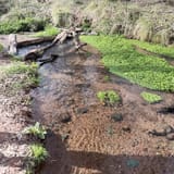 Parsons Trail, Arizona - 646 Reviews, Map | AllTrails