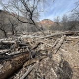 Parsons Trail, Arizona - 646 Reviews, Map | AllTrails