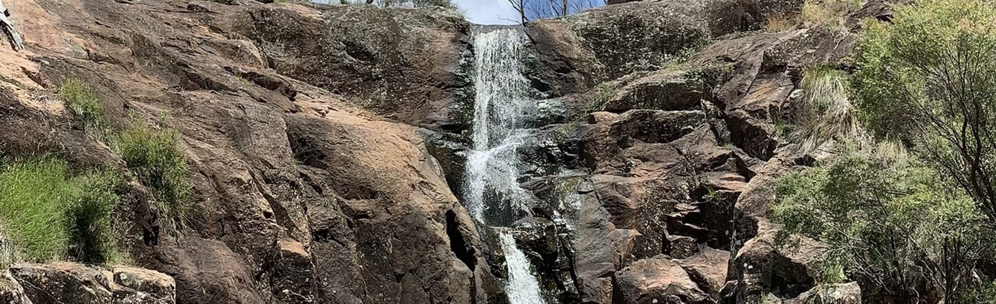 Sixty Foot Falls Loop, New South Wales, Australia - 70 Reviews, Map ...