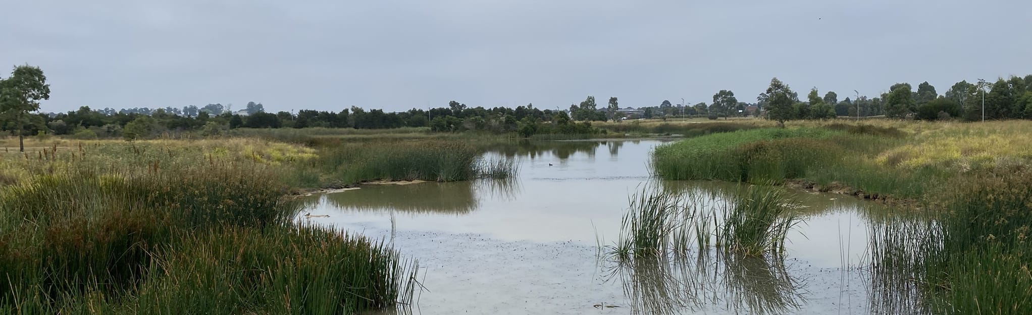 Berwick Springs Wetland Loop | Map, Guide - Victoria, Australia | AllTrails