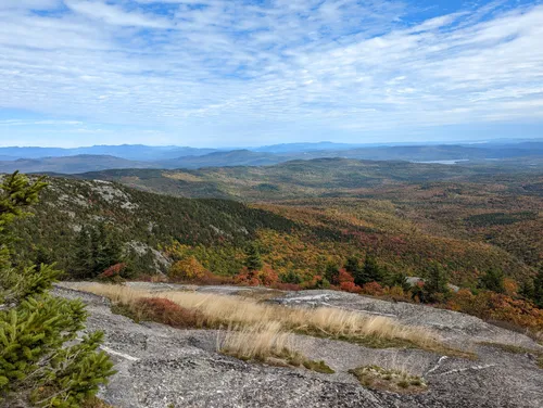2023 Best 10 Forest Trails in Cardigan Mountain State Park | AllTrails
