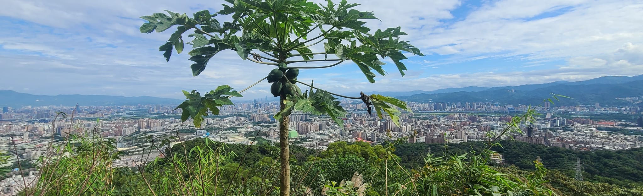 Datong Mountain: 5 Reviews, Map - New Taipei City, Taiwan | AllTrails