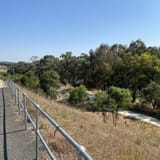 Wiradjuri Walking Track Loop, New South Wales, Australia - 61 Reviews ...