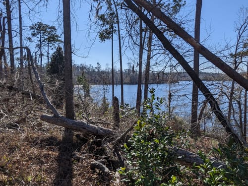 Best 10 Hikes and Trails in Kisatchie National Forest | AllTrails