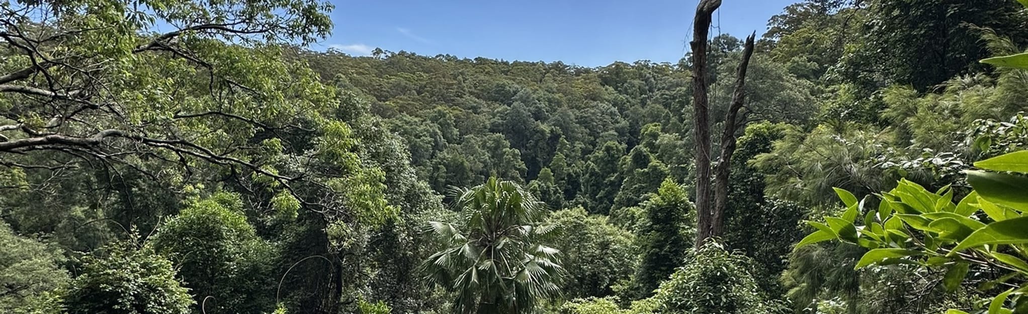 Strickland Tour, New South Wales, Australia - 127 Reviews, Map | AllTrails