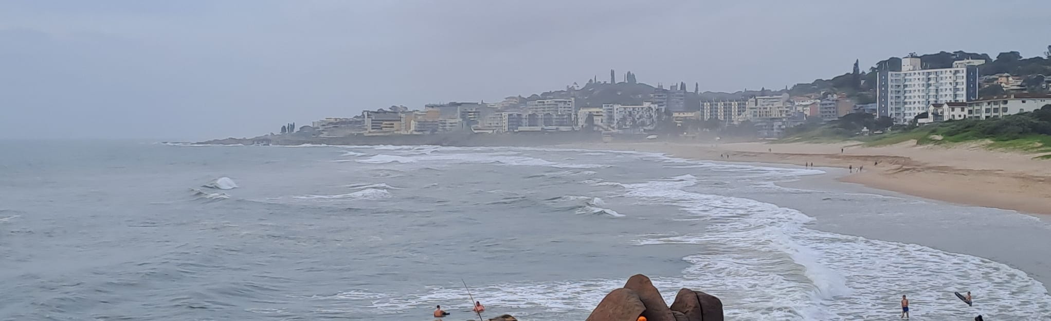 Shelly - Margate Run, Kwazulu-Natal, South Africa - 6 Reviews, Map ...