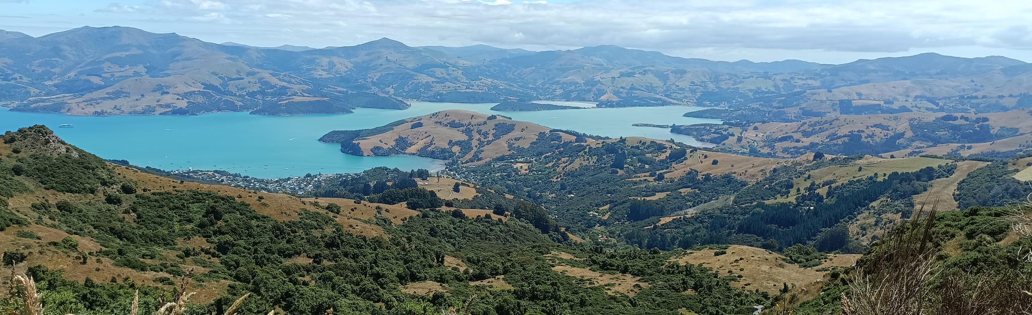 Stoney Bay Peak Track, Canterbury, New Zealand - 105 Reviews, Map ...