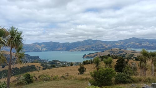 Best Hikes and Trails in Akaroa Heritage Park | AllTrails