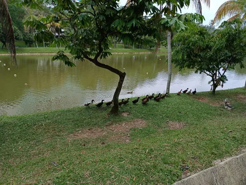 Taman Tasik Varsiti: de beste routes om te wandelen | AllTrails