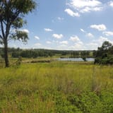 Modderfontein Dam Trail, Gauteng, South Africa - 372 Reviews, Map ...